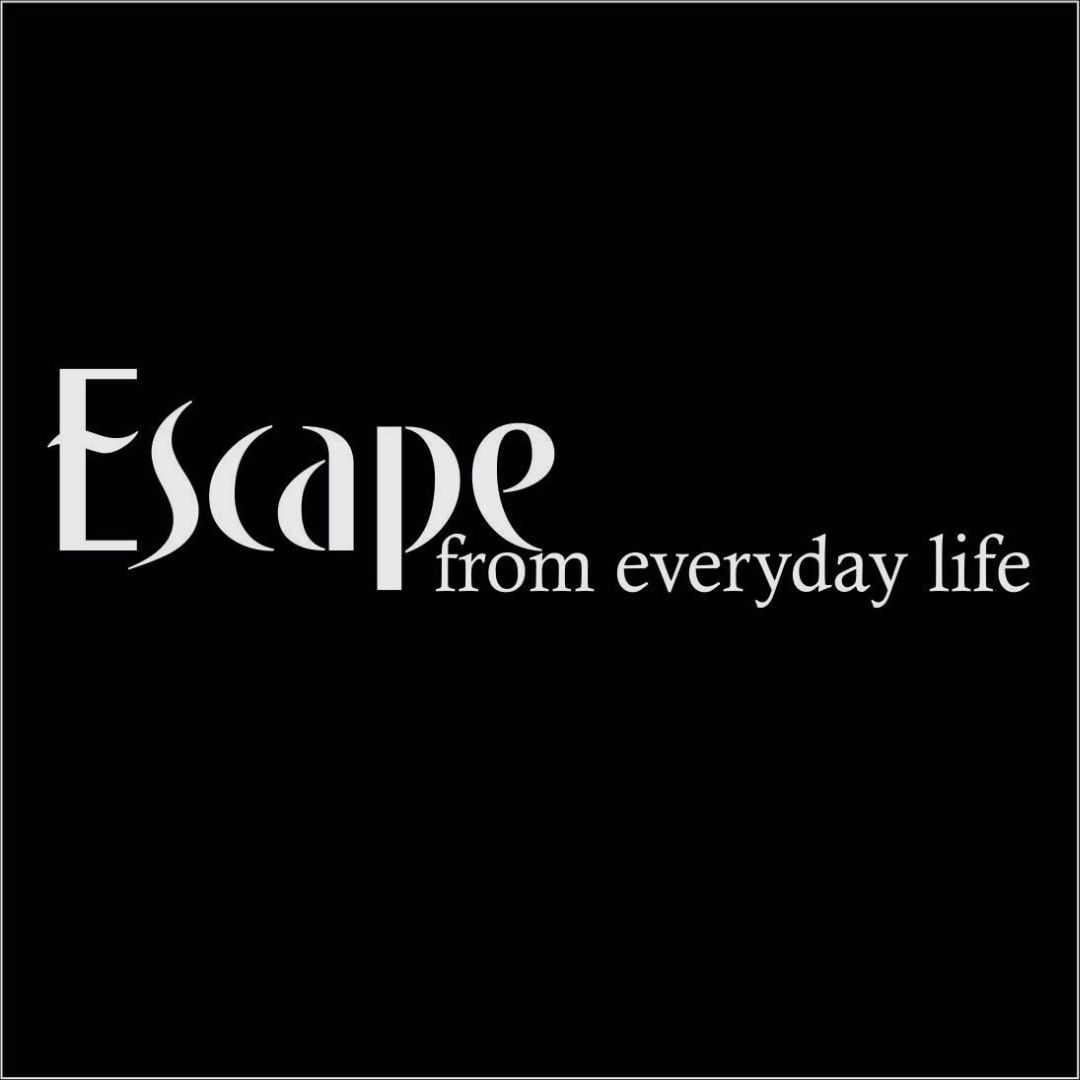 Escape From Everyday Life Vinyl Decal - Large - White - Walmart.com