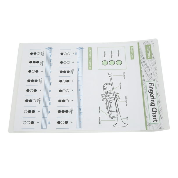 Trumpet Note Guide,Trumpet Chord Chart Fingering Trumpet Fingering ...