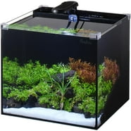 Aqua Culture Glass 20 Gallon Aquarium Starter Kit, Black, 24.17''L x 12 ...