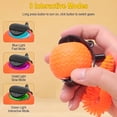 Cat Toys, Interactive Cat Toy Ball - Speedy Cat Toys for Indoor Cats ...