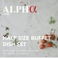 Alpha Living Disposable Chafing Dish Buffet Set with Fuel Cans ...