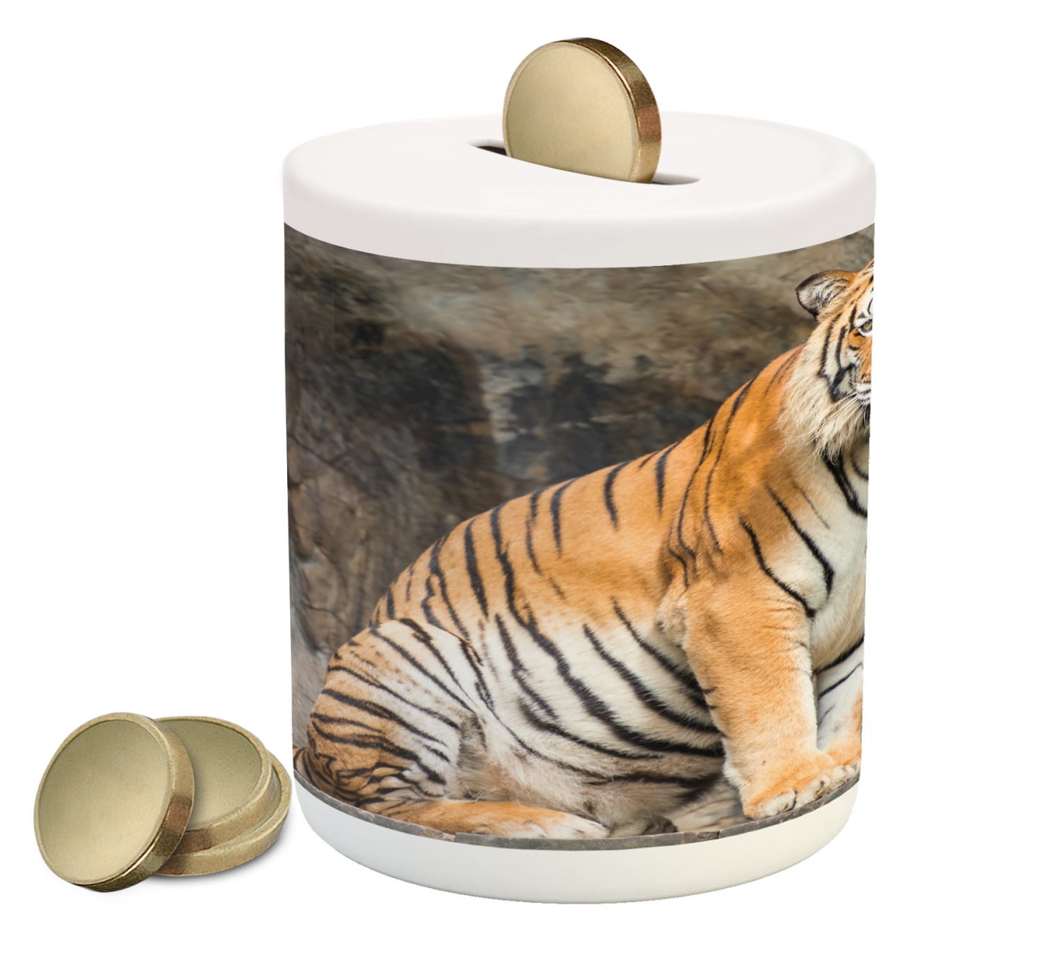 Zoo Piggy Bank, Bengal Tiger Feline Predator Aggressive Hunter ...