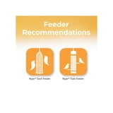 Lyric Finch Wild Bird Seed, Small Songbird Bird Finch Food - 5 lb. Bag ...