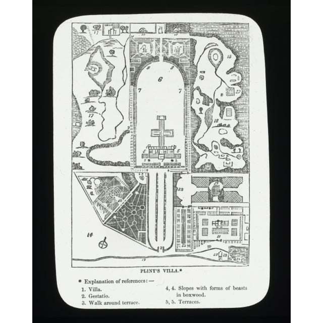 Print: Reproduction Of Plan Showing Pliny's Villa, circa 1915 - Walmart.com