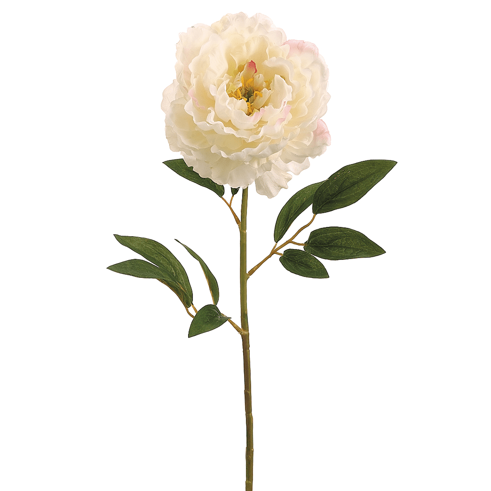 Park Place - 12 Piece Peony Stem 29" Cream - Walmart.com