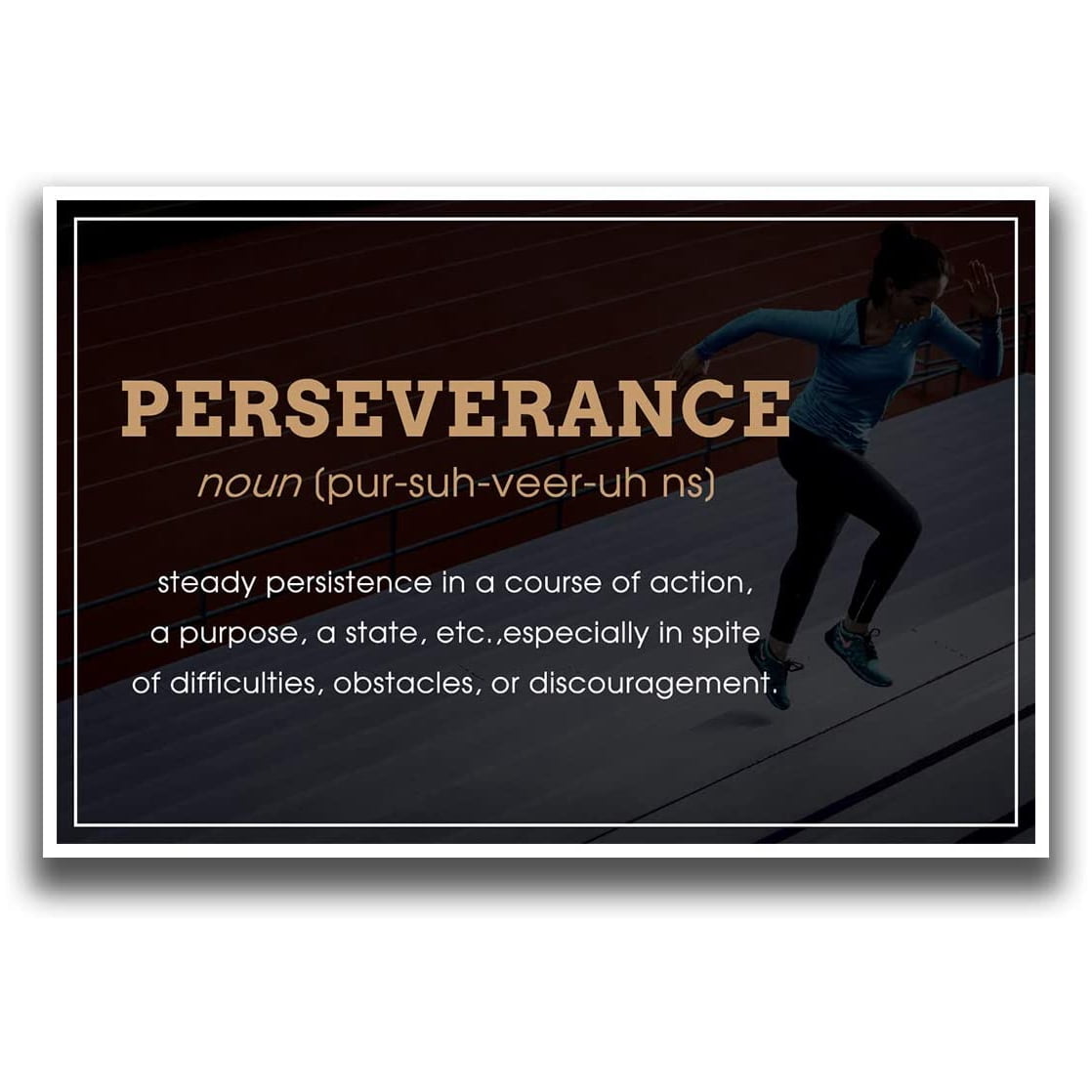Perseverance Classroom Poster