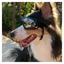 AUTOWT Dog Helmet & Goggles - UV Protection Sunglasses for Medium Dogs ...
