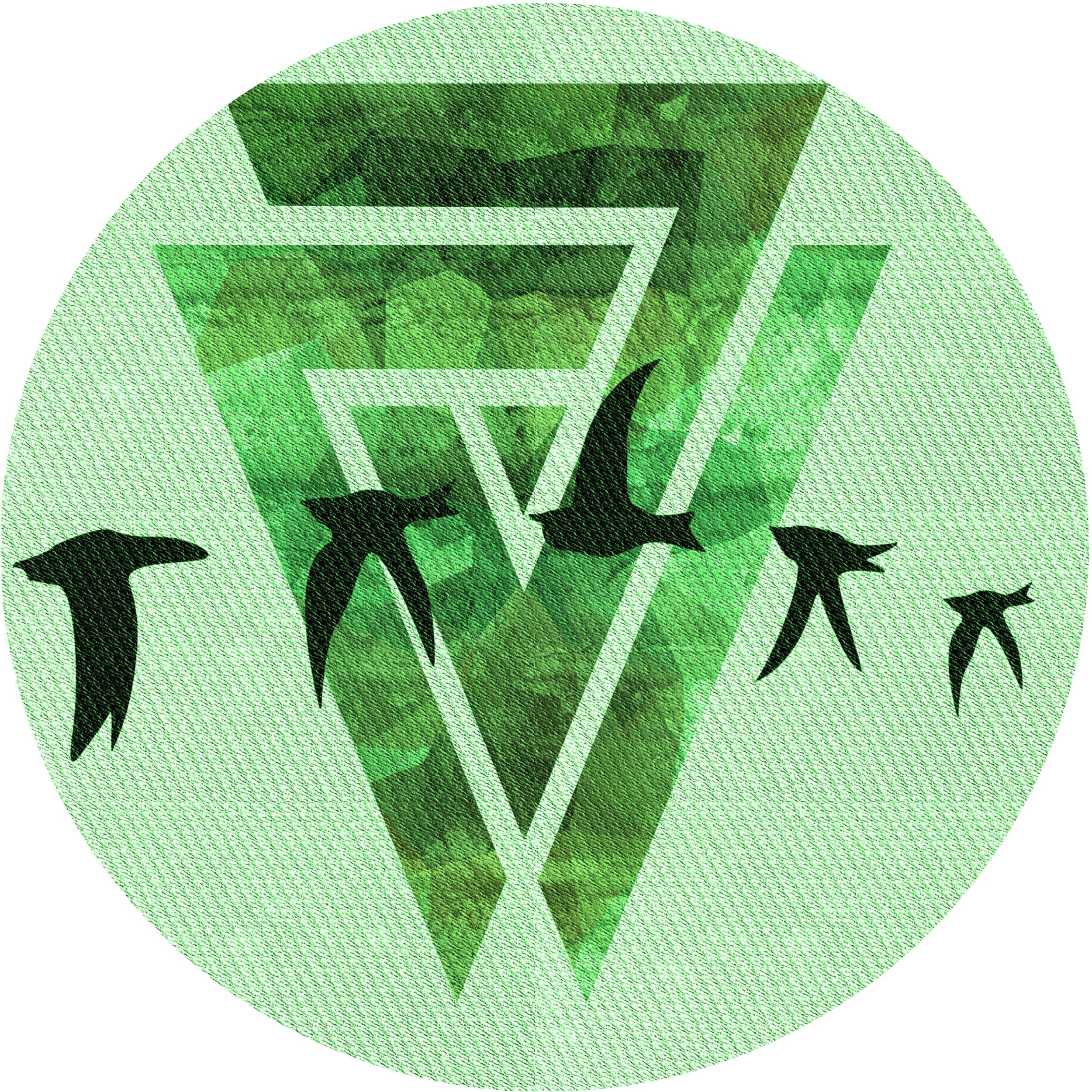 Ahgly Company Indoor Round Patterned Mint Green Area Rugs, 4' Round ...