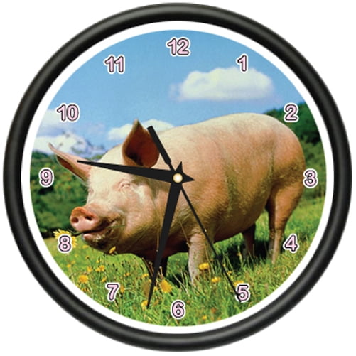 PIG Wall Clock pigs piglet farmer kitchen decor gift - Walmart.com