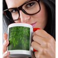 3drose, Huckleberry Branch in Spring., 15oz Two-tone Red Mug - Walmart.com