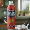 First Alert Tundra Aerosol Spray Fire Extinguisher, Multipurpose, 2 ...