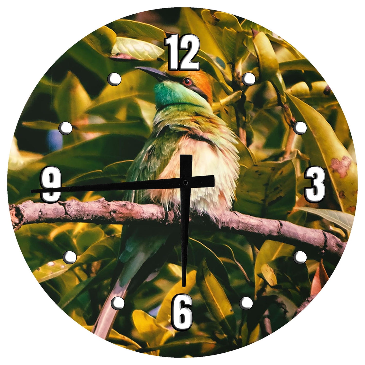 Wood Wall Clock 18 Inch Round Bird in Trees Round Small Battery ...