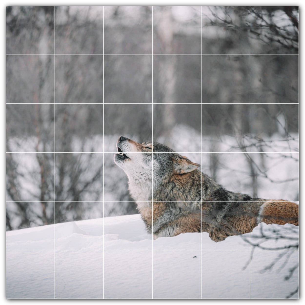Picture-Tiles.com: Wolf Ceramic Tile Wall Mural WAL501232-66L. 48"W x ...
