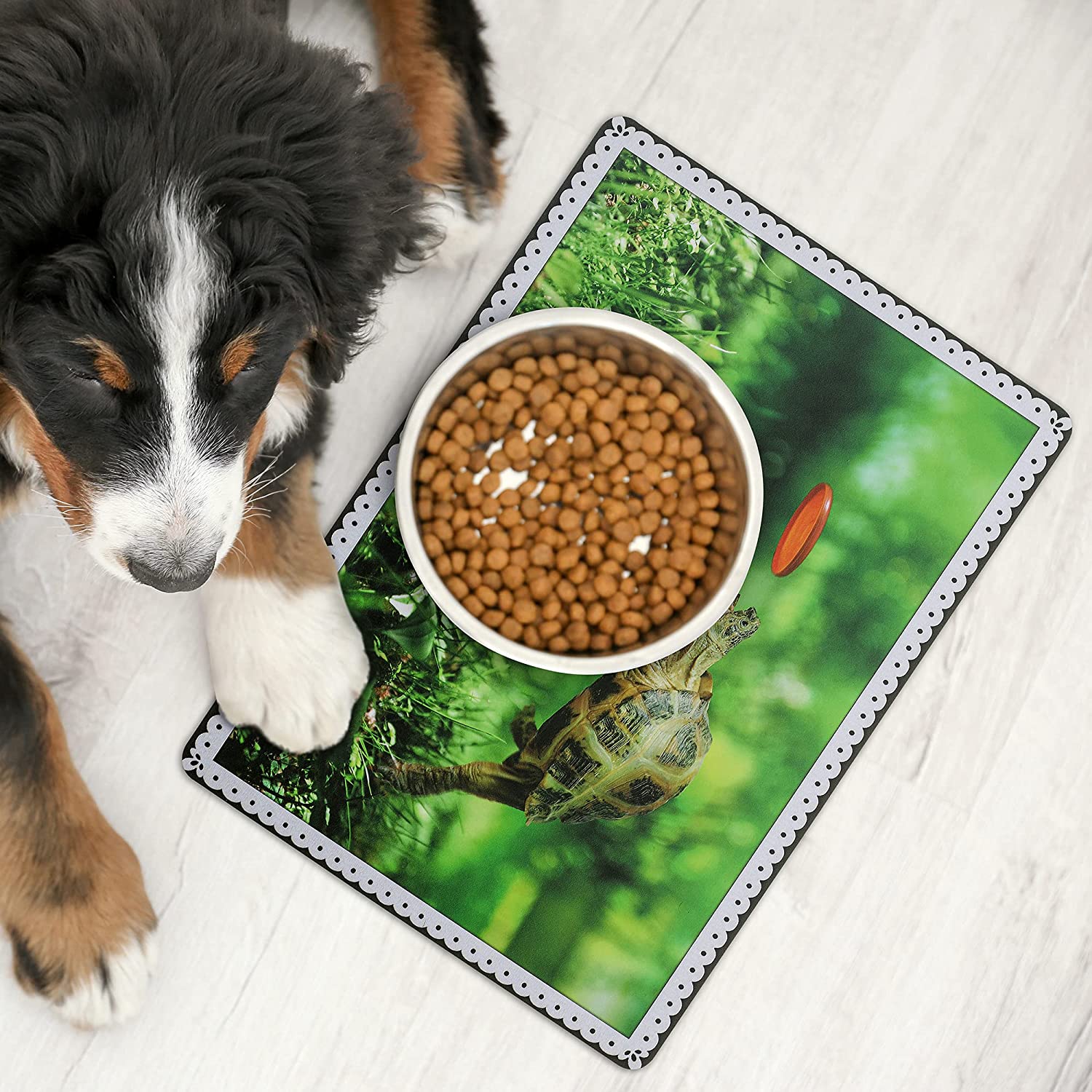 Why Does My Dog Scatter His Food