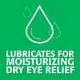 REFRESH PLUS Lubricant Eye Drops Single-Use Containers 30 Each ...