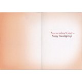Avanti Press Chipmunk Couple Funny / Humorous Thanksgiving Card ...