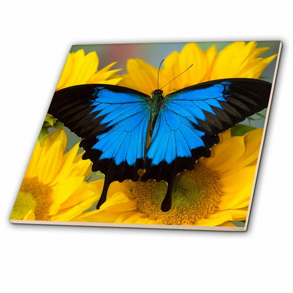 3dRose, Purple Tulips and purple butterfly floral design, 6 Inch Glass ...