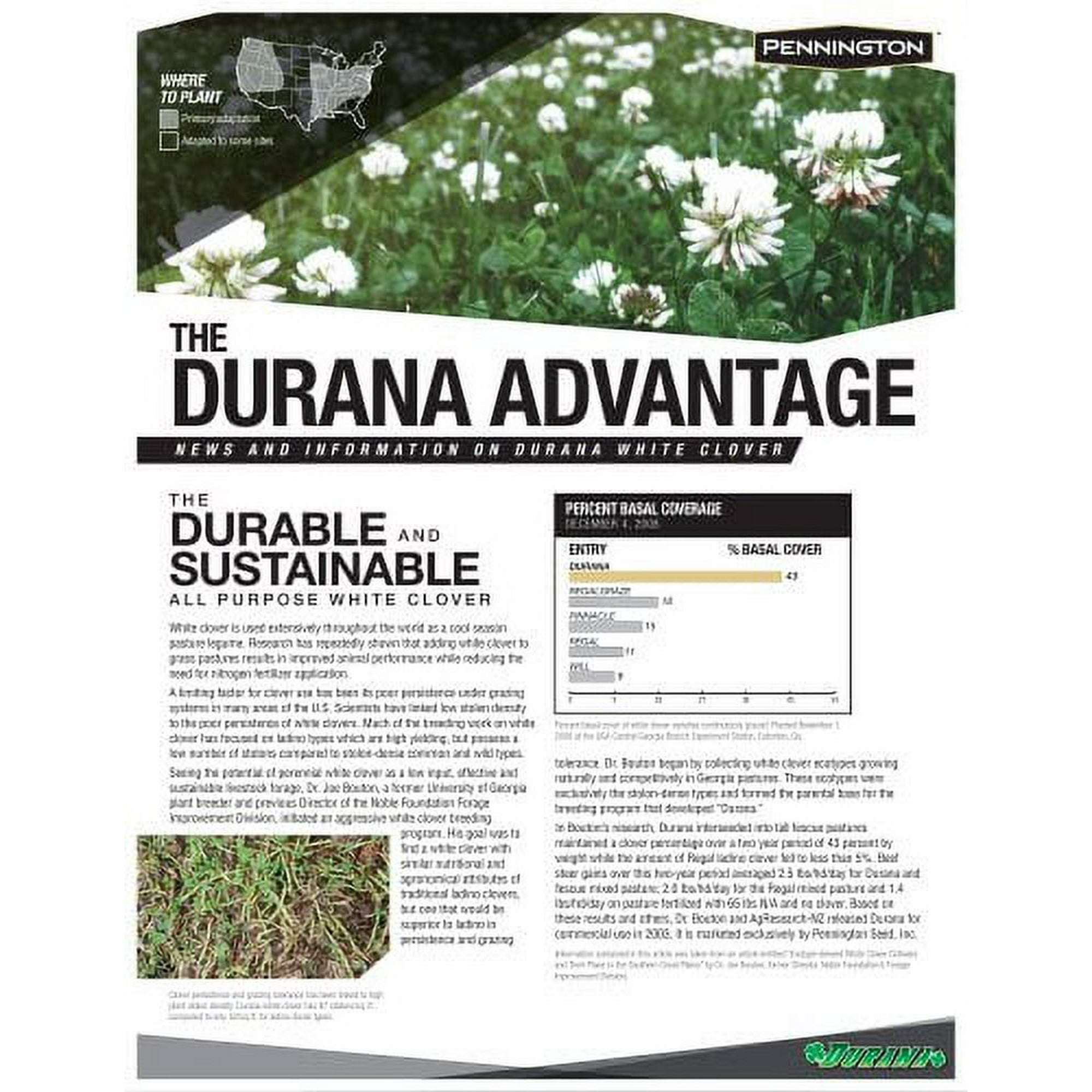 Durana Clover Seeds