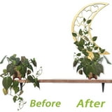 Jamjam Plant Trellises 23'' Wooden Moon Indoor Trellis,Hoya Small ...