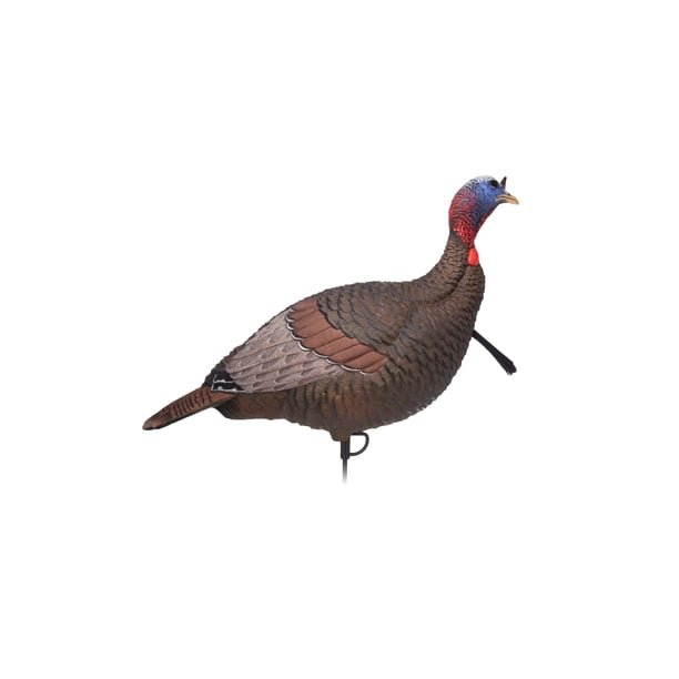 Flextone Thunder Jake Turkey Decoy, FLXDY317 - Walmart.com