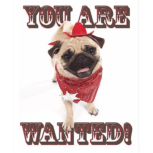 Trademark Fine Art "You Are Wanted" by Gifty Idea Greeting Cards and ...