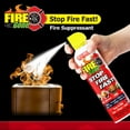 Fire Gone 16 oz Fire Extinguishing Spray - Aerosol Can -FFF-Foaming ...