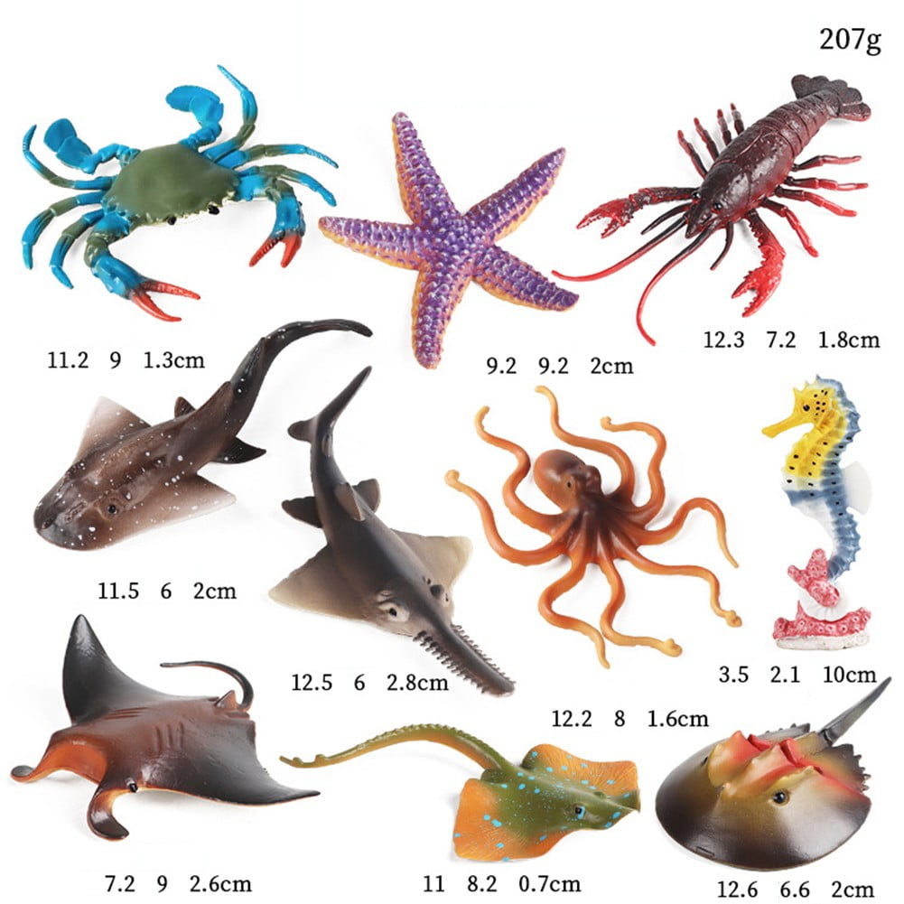 Ocean Animal Life