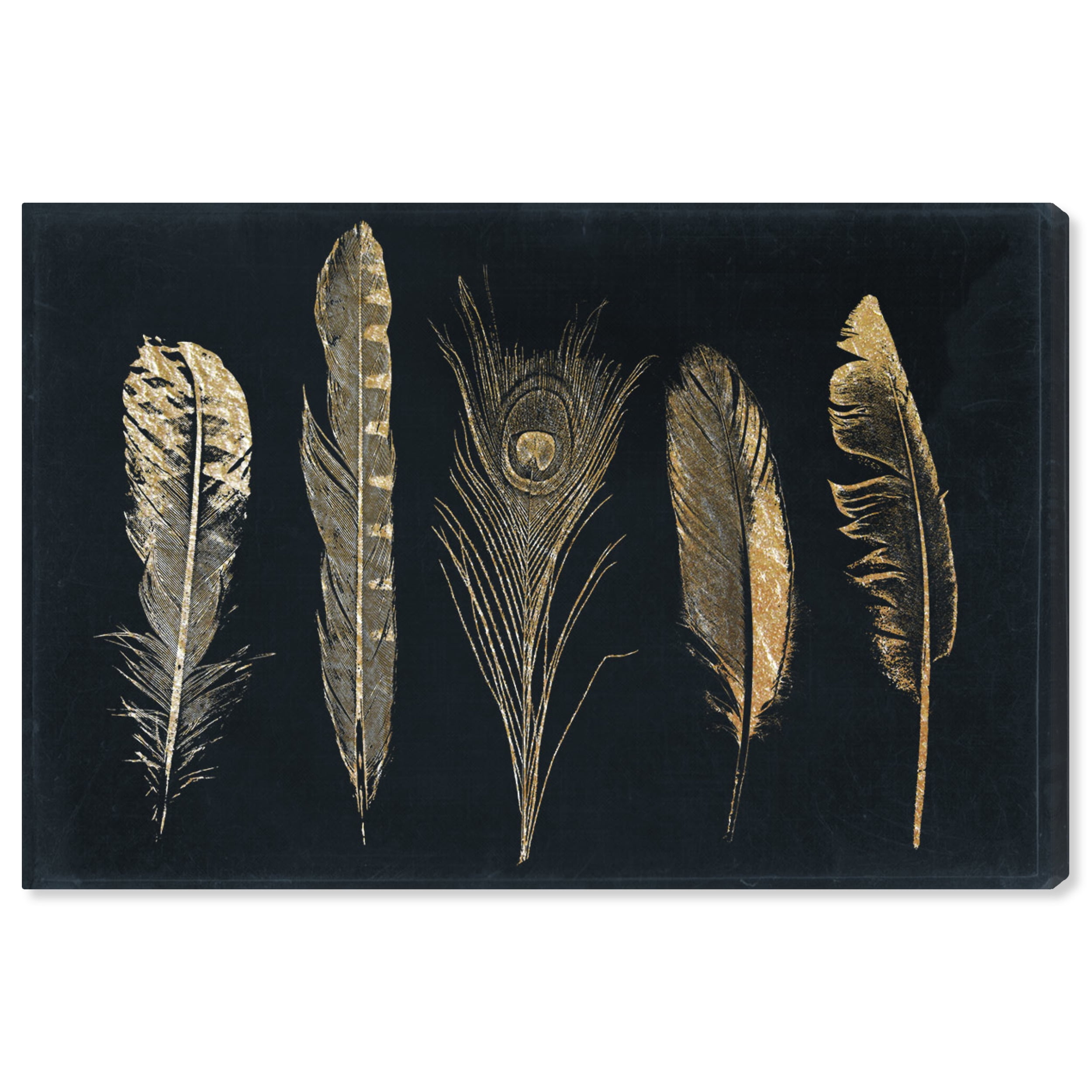 Home & Living Whimsical Art Feather Illustration Feather Print Digital ...