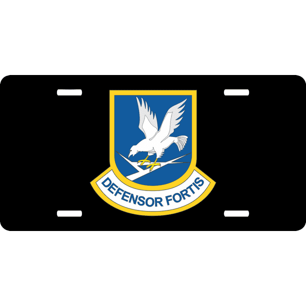 DEFENSOR FORTIS License Plate - Walmart.com - Walmart.com