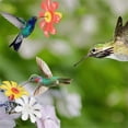 10pcs Hummingbird Flower Feeder Replacement Port With Petals For ...
