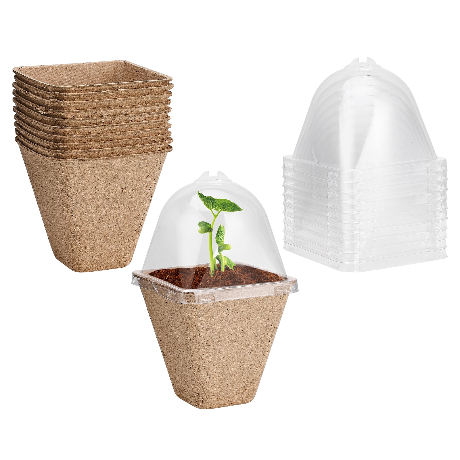 Seed Starter Pots Seedling Planter With Humidity Dome Transparent Cover ...