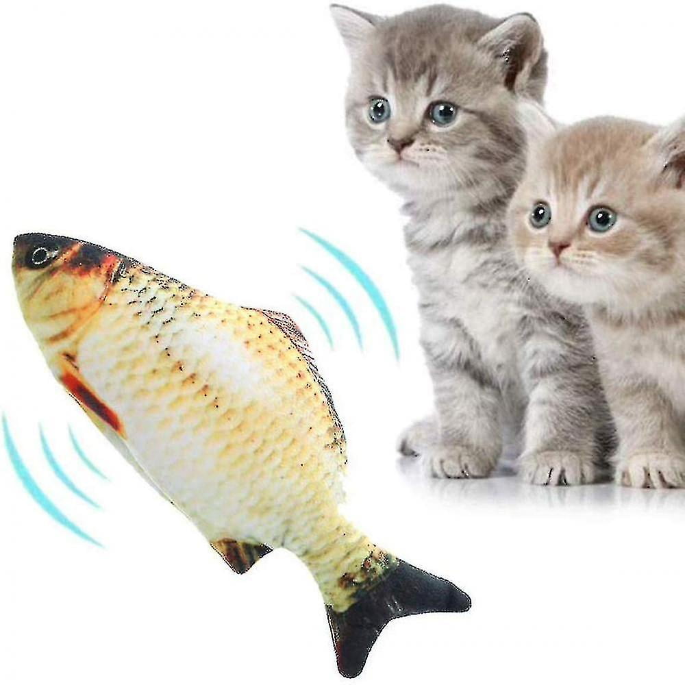 Carp Cat Electric Fish Toy Moving Fish Catnip Plush Toy Usb Charging 3D ...