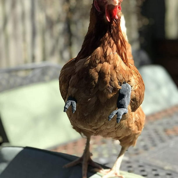 Chicken Arm Chicken Toy Chicken Arms Gag Gift Chicken Costume Arms Toy ...