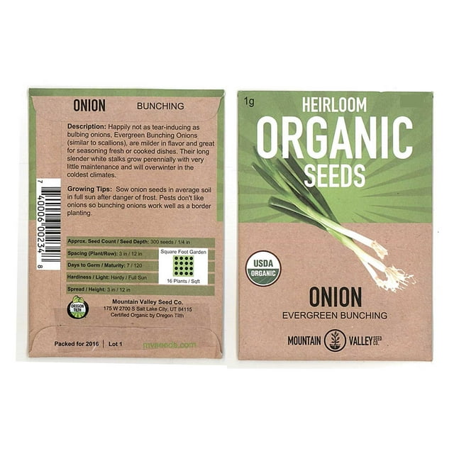 Evergreen Bunching Onion Garden Seeds - 1 Gram Packet - Non-GMO ...