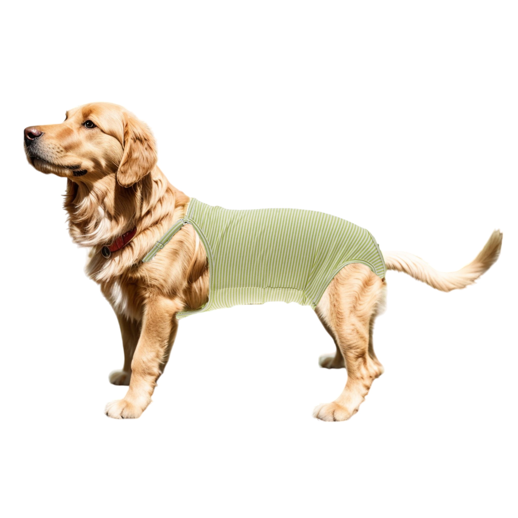 Click here for Unique Bargains Washable Reusable Dog Diapers Phys... prices