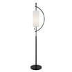 Lite Source Jared 2 Light Floor Lamp - Walmart.com