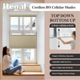 REGAL ESTATE,12BOTTLE,Cordless 1.5" Blackout Top Down Bottom Up Cellular Shades, Window Blinds ...