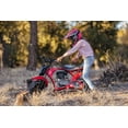 Coleman Powersports B100 105cc Gas Powered Mini Bike, 22 MPH, Red ...