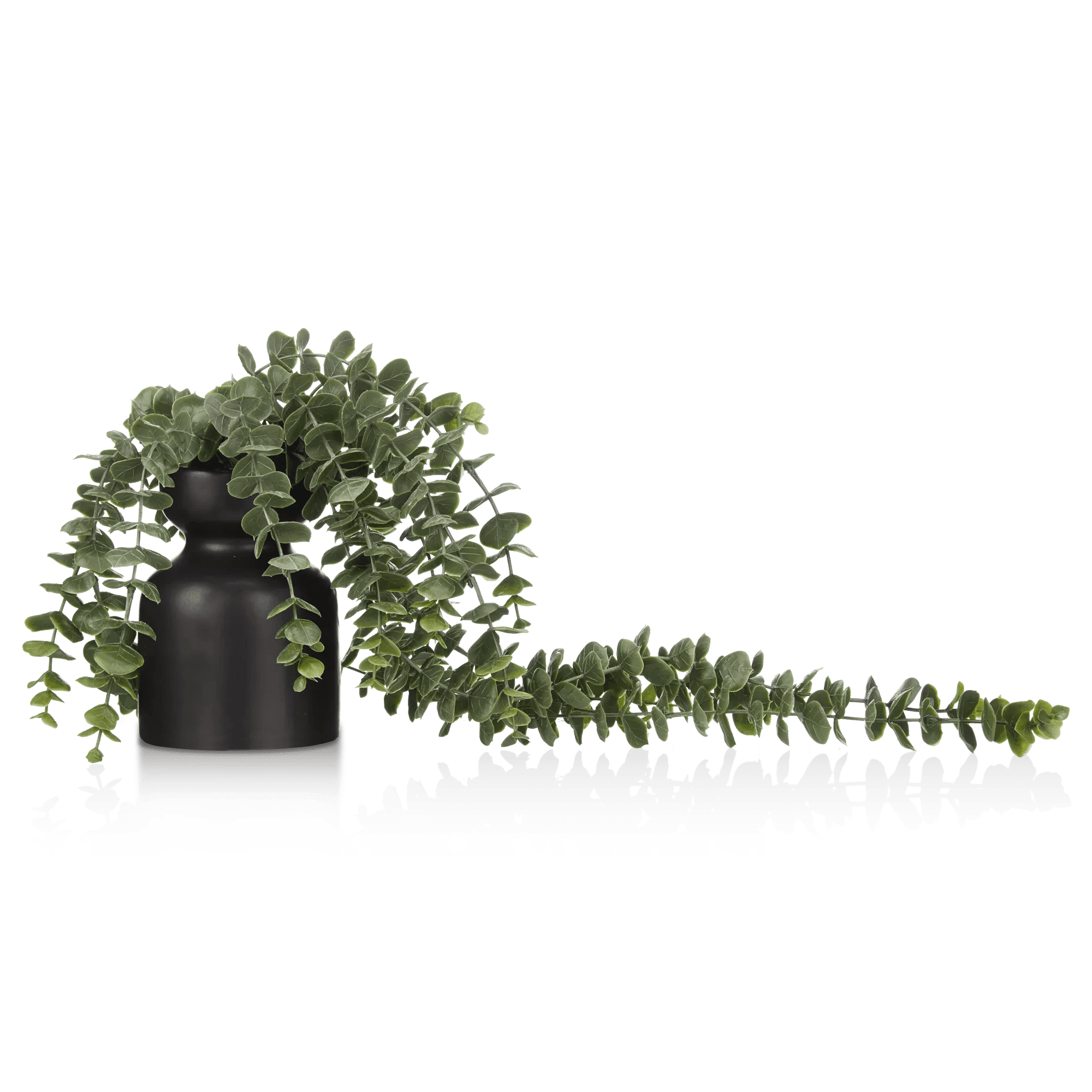 Click here for Bouclair Waterfall Eucalyptus In Black Pot 9.5 X 3... prices