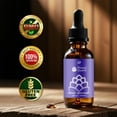(5 Pack) Pineal Guard Drops Healthy Blood Support Formula - Dietary ...