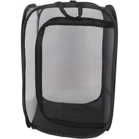 Foldable Stick Insect Cage, Insect and Butterfly Habitat Cage Butterfly ...