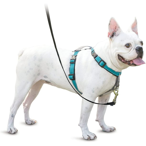 How Does A Dog Harness Stop Pulling