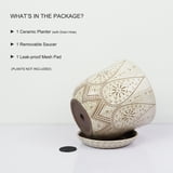 Gepege 8 Inch Ceramic Planter Pot with Drainage Holes, Saucers, and ...