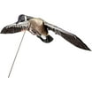 Avian-X AXP Lesser Canada Goose Decoy - Walmart.com