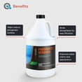 AquaDoc Pool Phosphate Remover, 64 oz, Concentrated for Maintenance ...