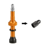 Motoforti 2Pcs Bike Tire Air Valve Tubeless Wheel Valve Kit with Copper ...