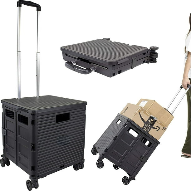 Collapsible Rolling Crate