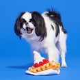 BARK Founding Funnel Cake Dog Toy with Hidden Treats for Extra Small to ...