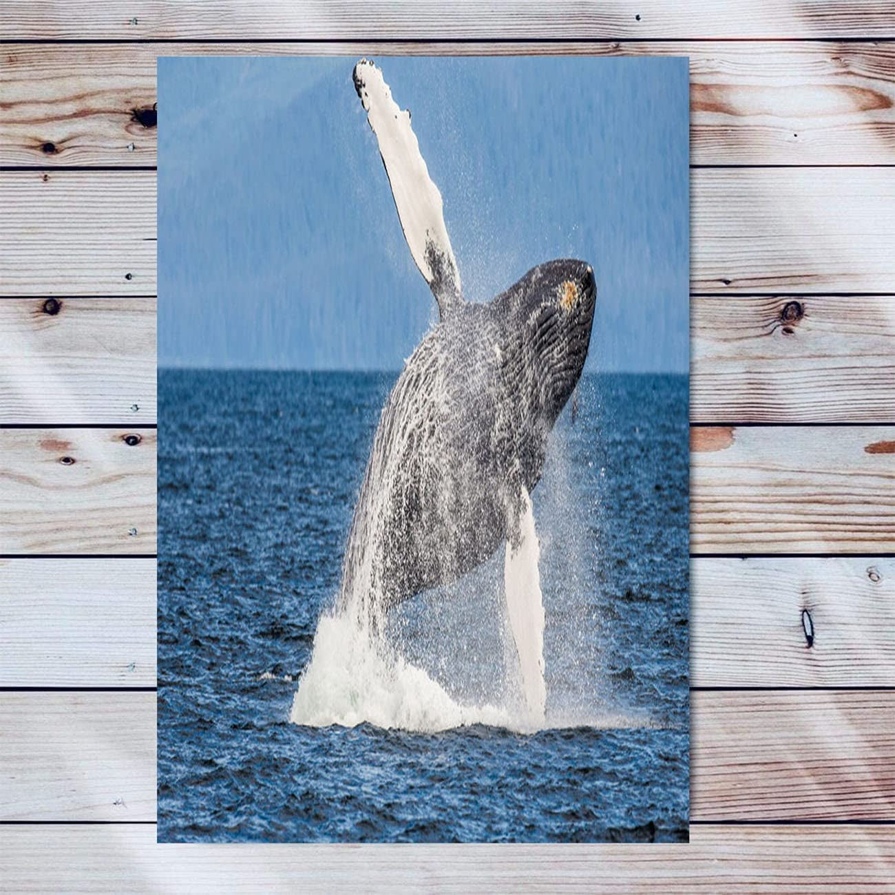 Whale Ocean Animal Canvas Wall Art Artwork Wooden Frame Painting ...