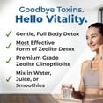 Healthy by Nature Zeolite Cleanse Body Detox Powder 7.05 oz for Gut ...